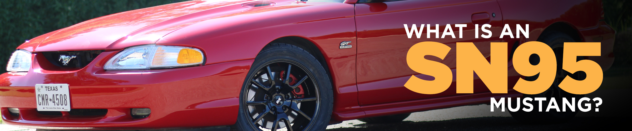 What Is An SN-95 Mustang? - LMR.com